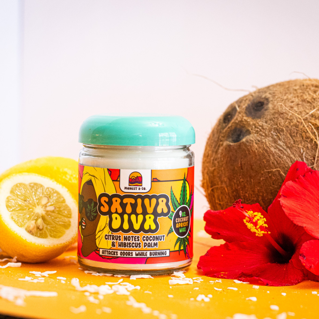 Sativa Diva Odor Killing Candle - Citrus & Tropical – Modest & Co